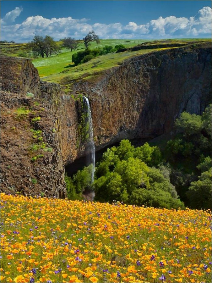 Table Mountain Blooms & Waterfalls - Wild Destinations Photography