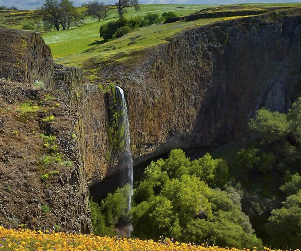 Table Mt. Blooms & Waterfalls - Wild Destinations Photography